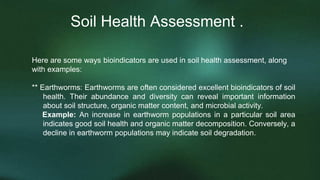Bioindicators and their Significance in Ecosystem - Astha.pptx