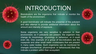 Bioindicators and their Significance in Ecosystem - Astha.pptx