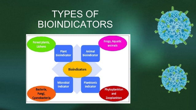 Bioindicators and their Significance in Ecosystem - Astha.pptx