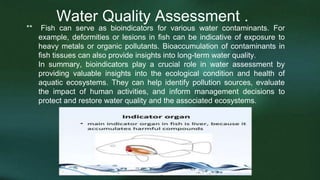 Bioindicators and their Significance in Ecosystem - Astha.pptx