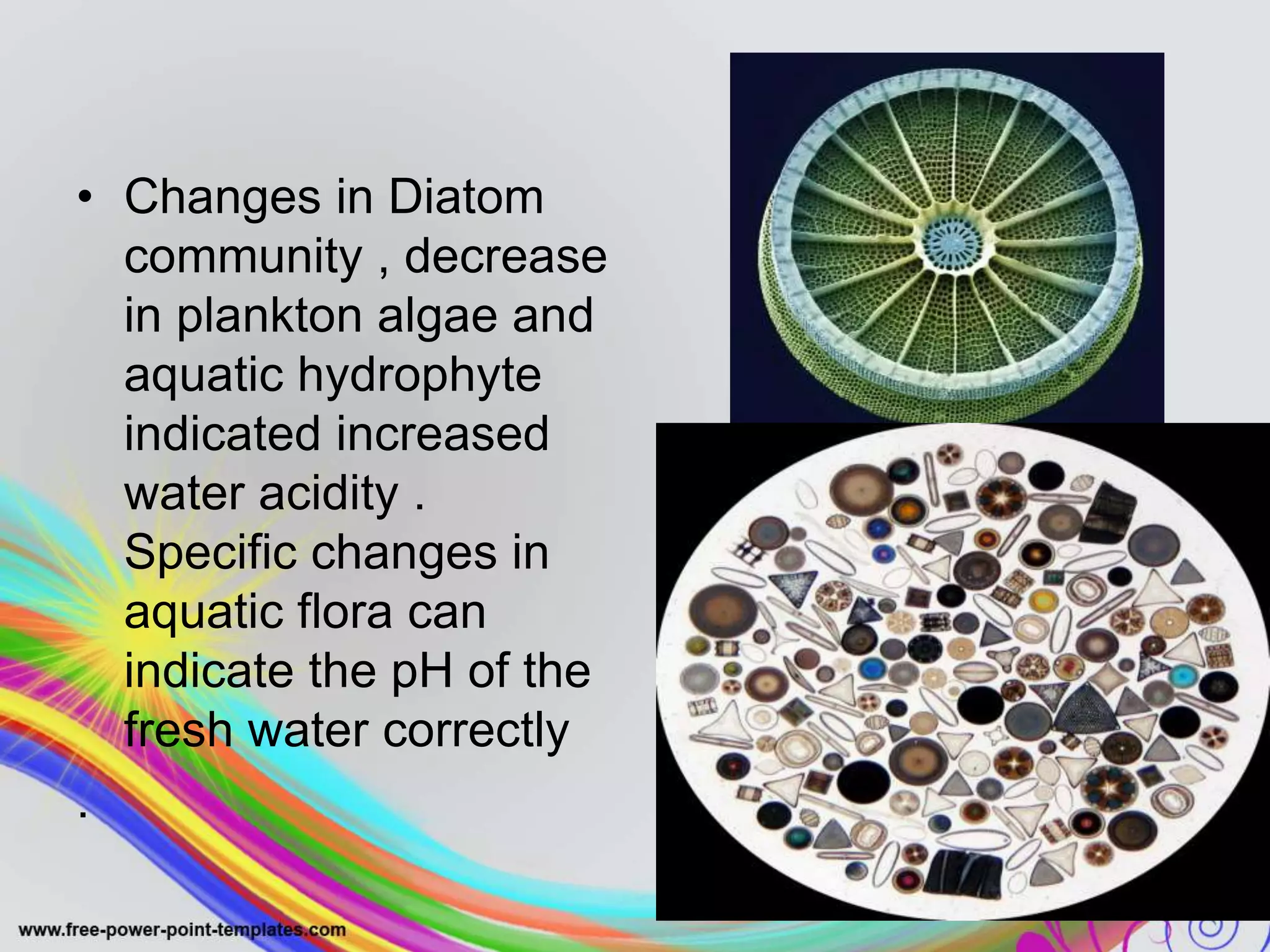Bioindicators ppt | PPTX