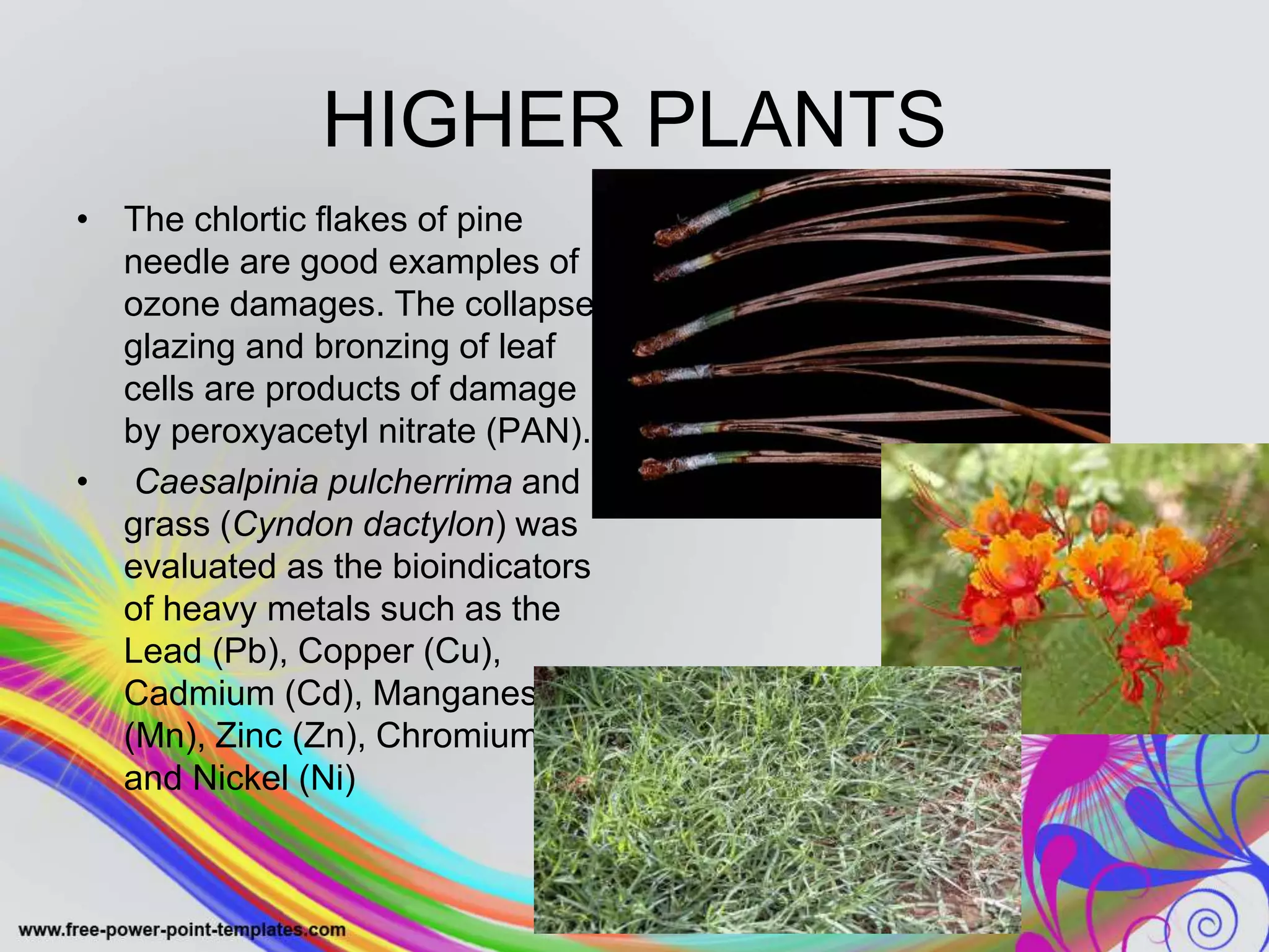 Bioindicators ppt | PPTX