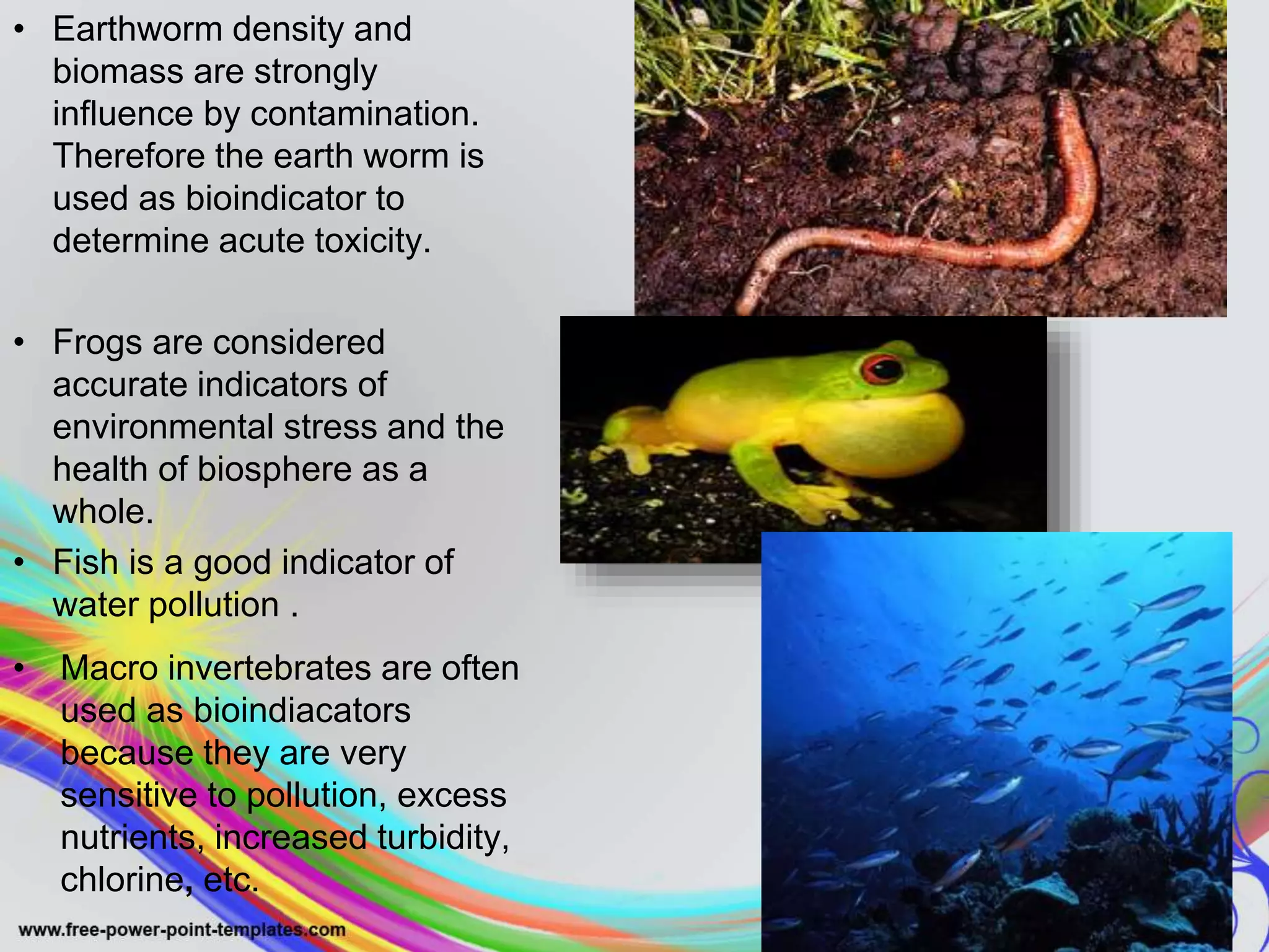 Bioindicators ppt | PPTX