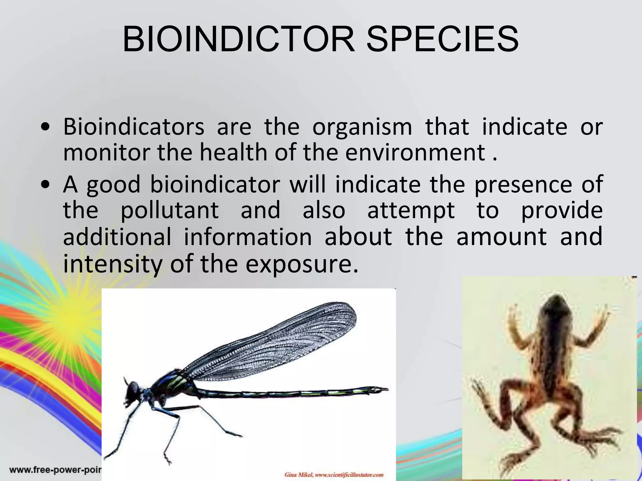 Bioindicators ppt | PPTX