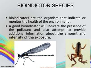 Bioindicators ppt | PPTX