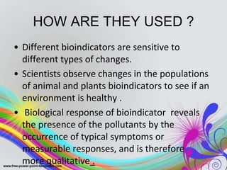 Bioindicators ppt | PPTX