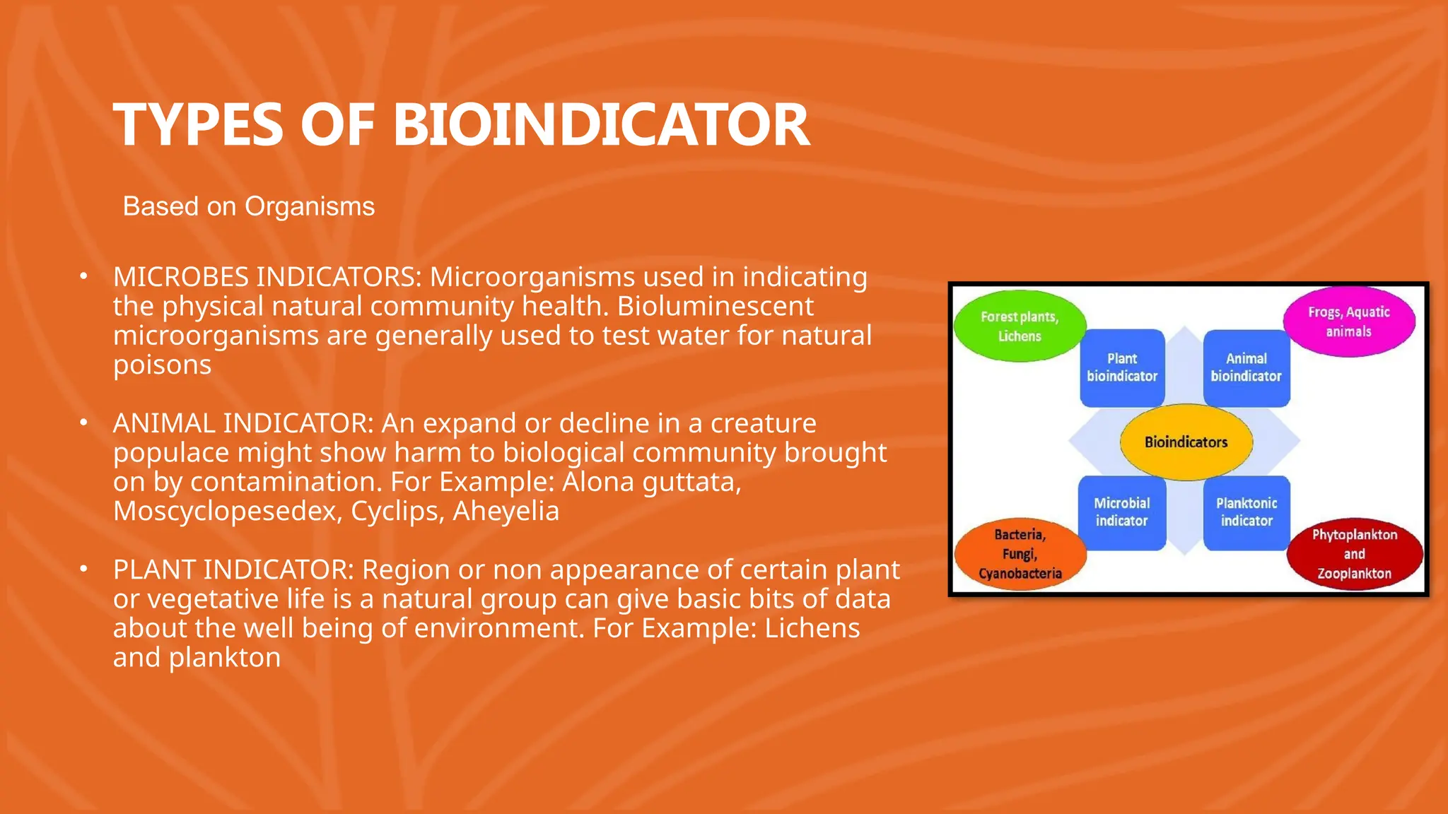 Bioindicators and its types with examples.pptx