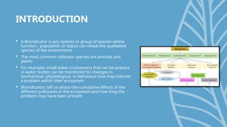 Bioindicators and its types with examples.pptx