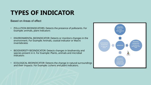 Bioindicators and its types with examples.pptx