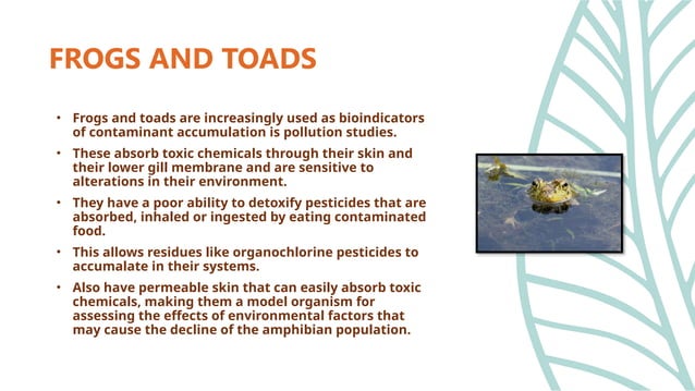 Bioindicators and its types with examples.pptx