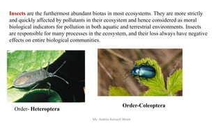 Bioindicators Slide.pptx