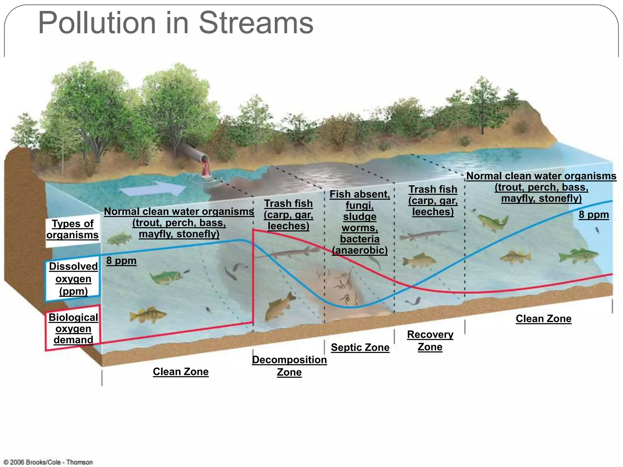 BIOINDIKATOR DAN BIOMONITORING LIMNOLOGI 10.ppt
