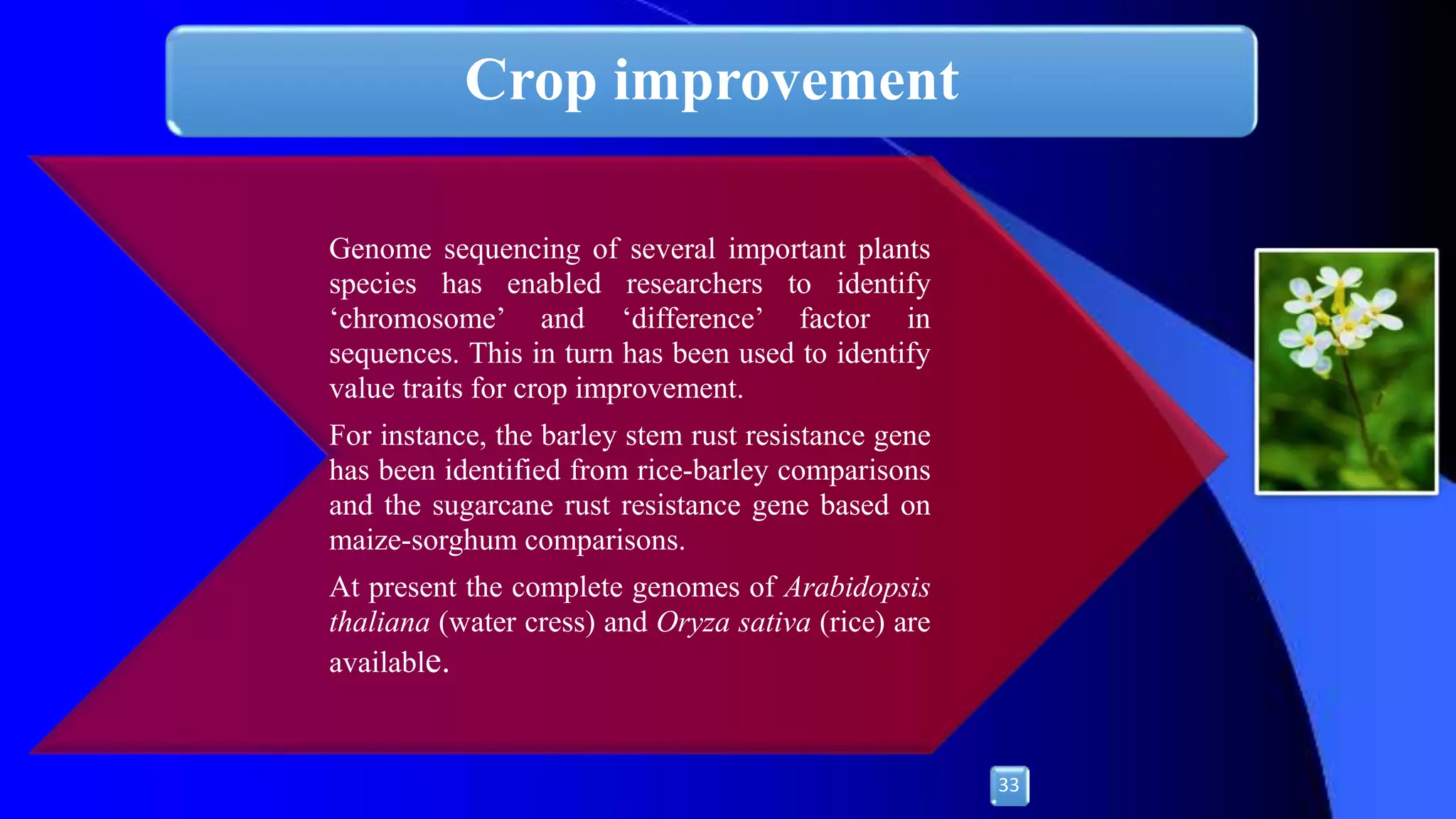 Bioinformatics and its Applications in Agriculture/Sericulture and in ...