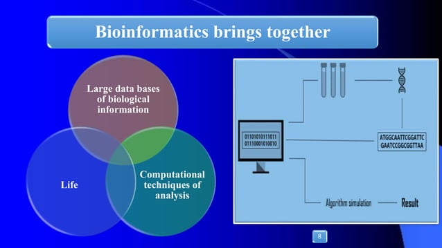 Bioinformatics and its Applications in Agriculture/Sericulture and in ...