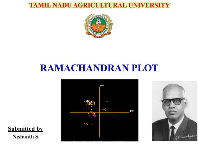 Ramachandran Plot | PPTX