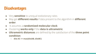 BioINfo.pptx | Biological Sciences | Science