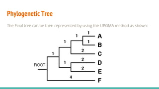 BioINfo.pptx | Biological Sciences | Science