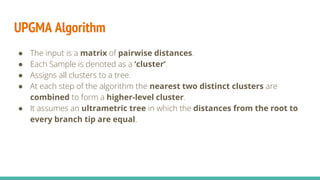 BioINfo.pptx | Biological Sciences | Science