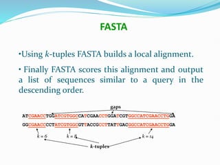 Main bioinfomatics alignment tools.pptx