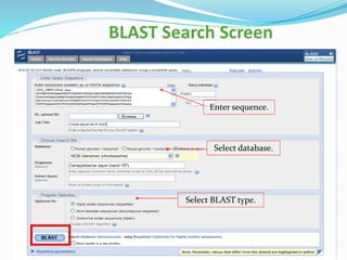 Main bioinfomatics alignment tools.pptx