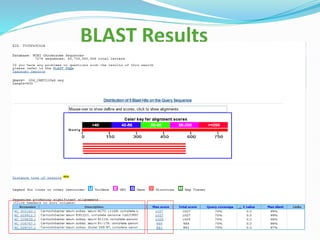 Main bioinfomatics alignment tools.pptx