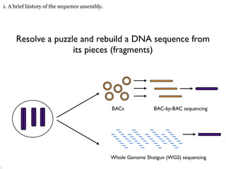 Genome Assembly 2018 | PDF