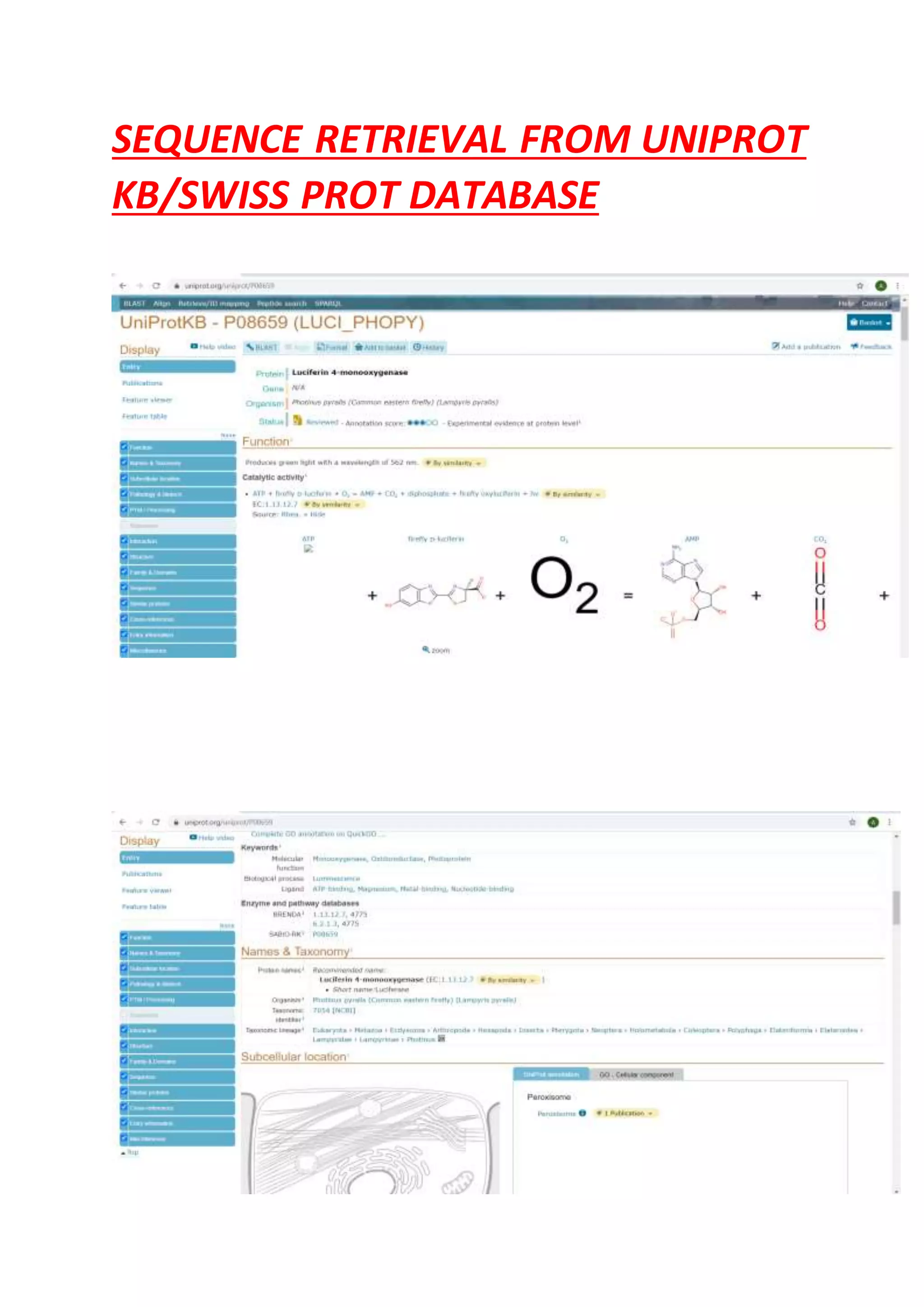 uniprotkb /swissProt database sequence retrieval | DOCX