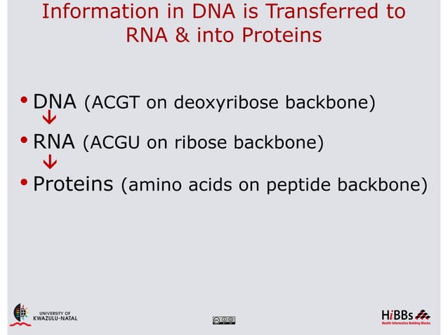 Introduction to Bioinformatics Slides | PPT