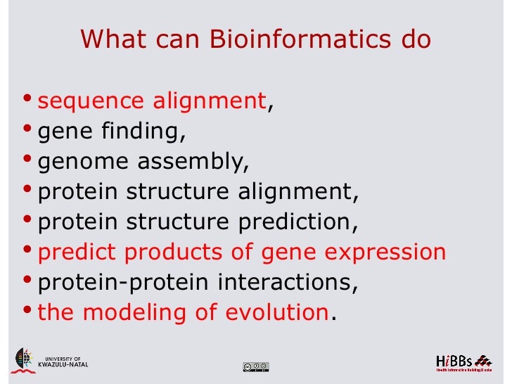 Introduction To Bioinformatics Slides