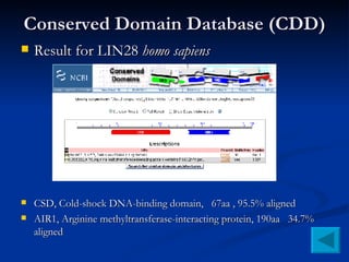 Bioinfomatics Presentation | PPT | Biological Sciences | Science