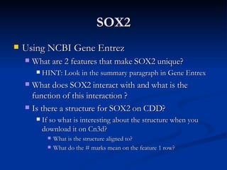 Bioinfomatics Presentation | PPT | Biological Sciences | Science