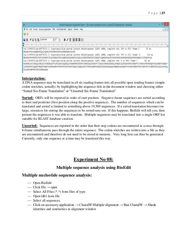 Change nuclotide contig in bioedit - naxrebrew