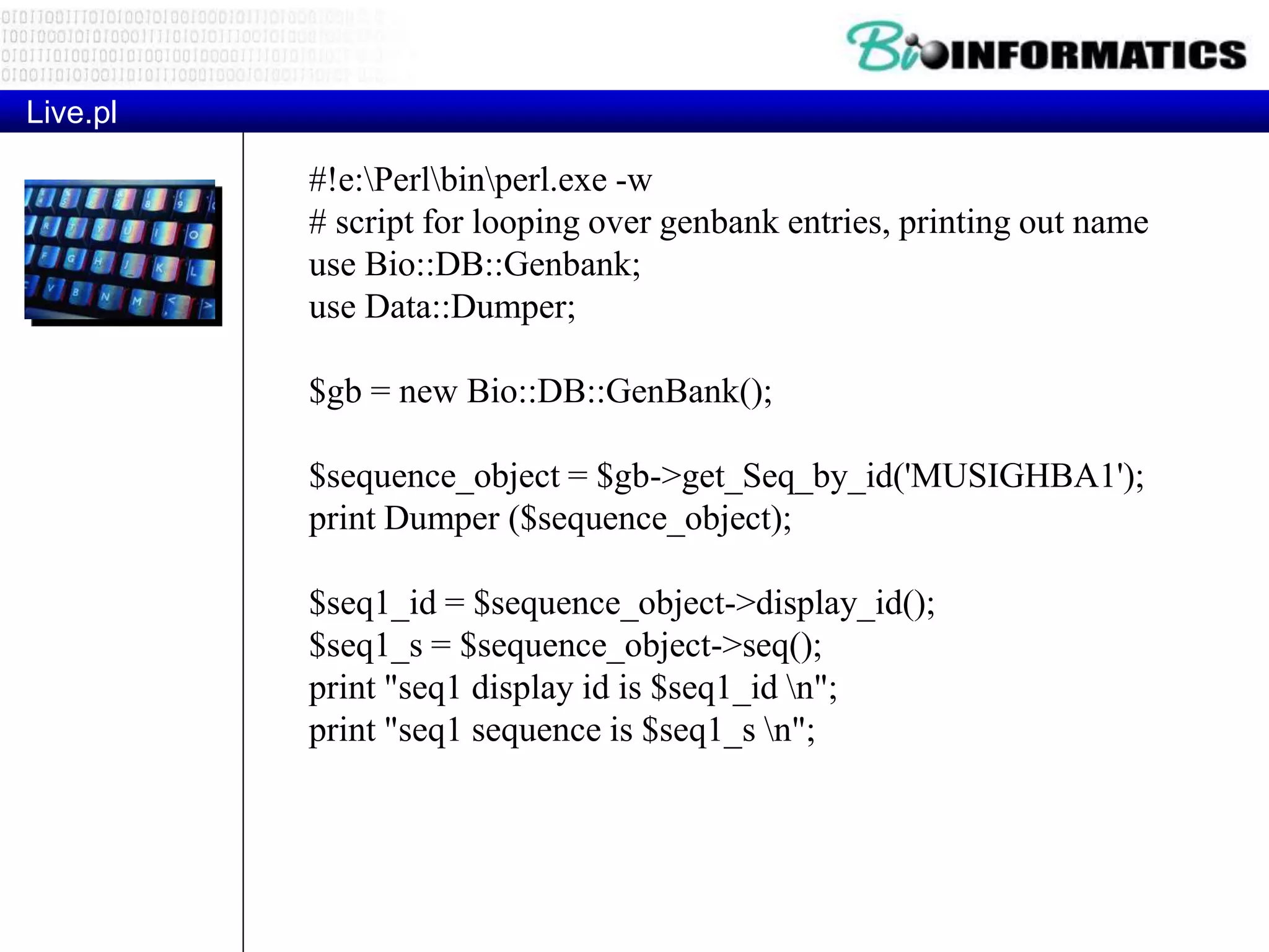 Bioinformatica p6-bioperl | PPTX