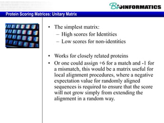Bioinformatica t3-scoring matrices | PPTX