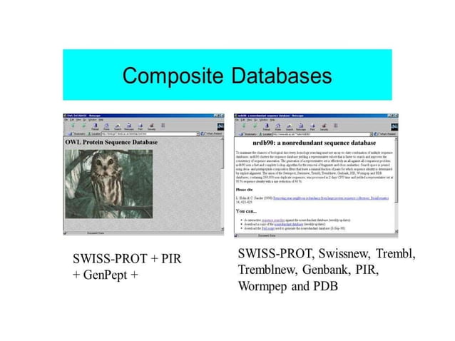 Bioinformatic Databases And Sequence Analysis Ppt