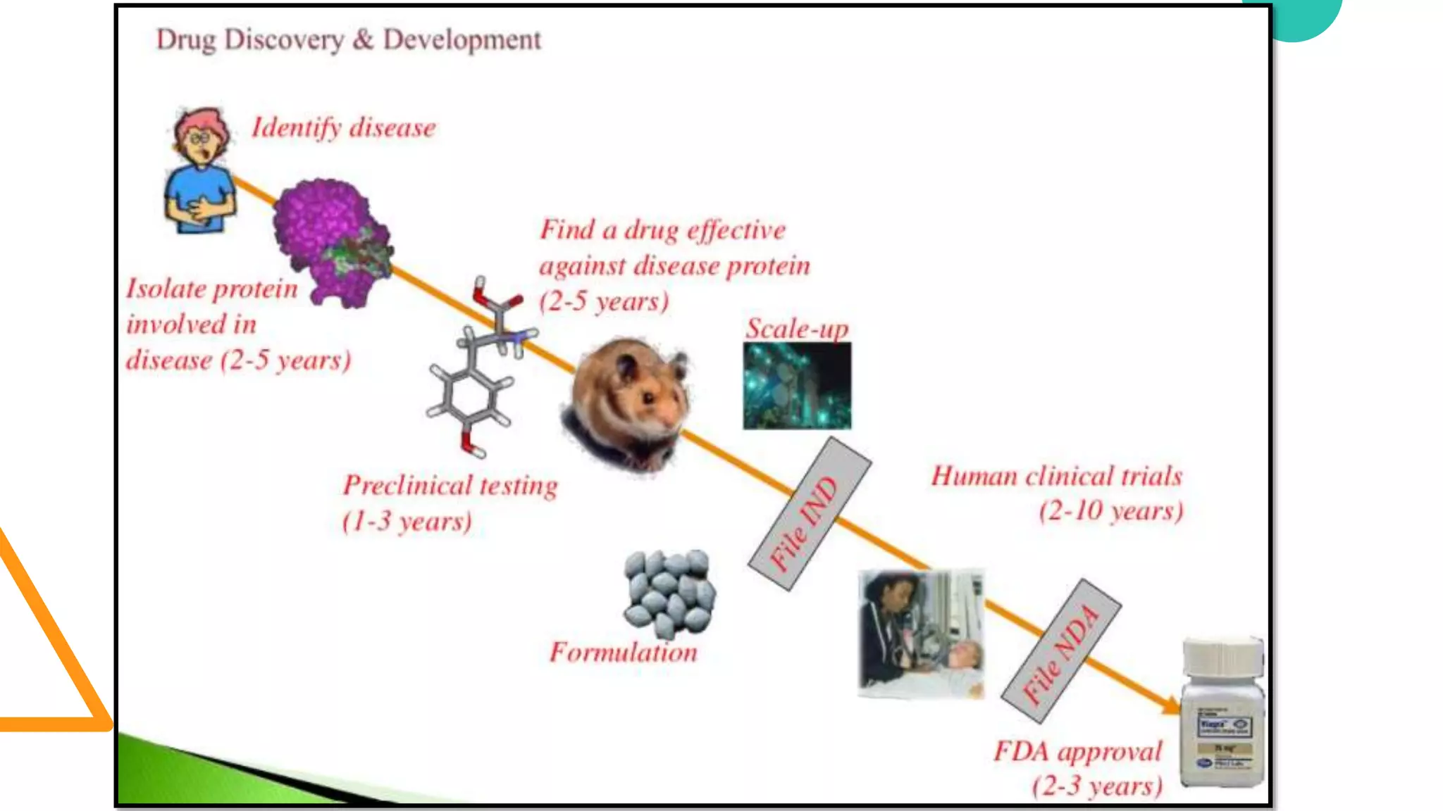 Bioinformatic in drug designing | PPT Bioinformatic in drug designing | PPT