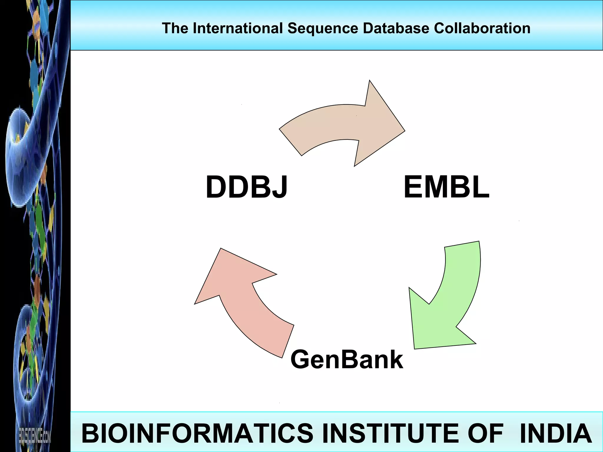 Bioinformatics | PPT