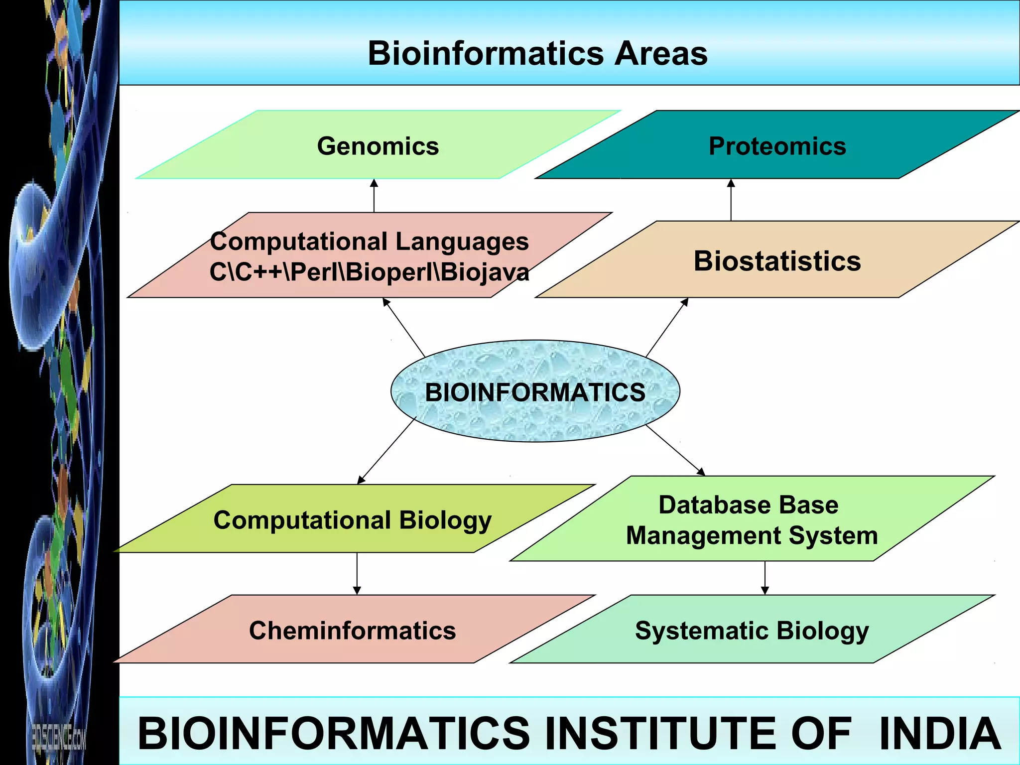 Bioinformatics | PPT