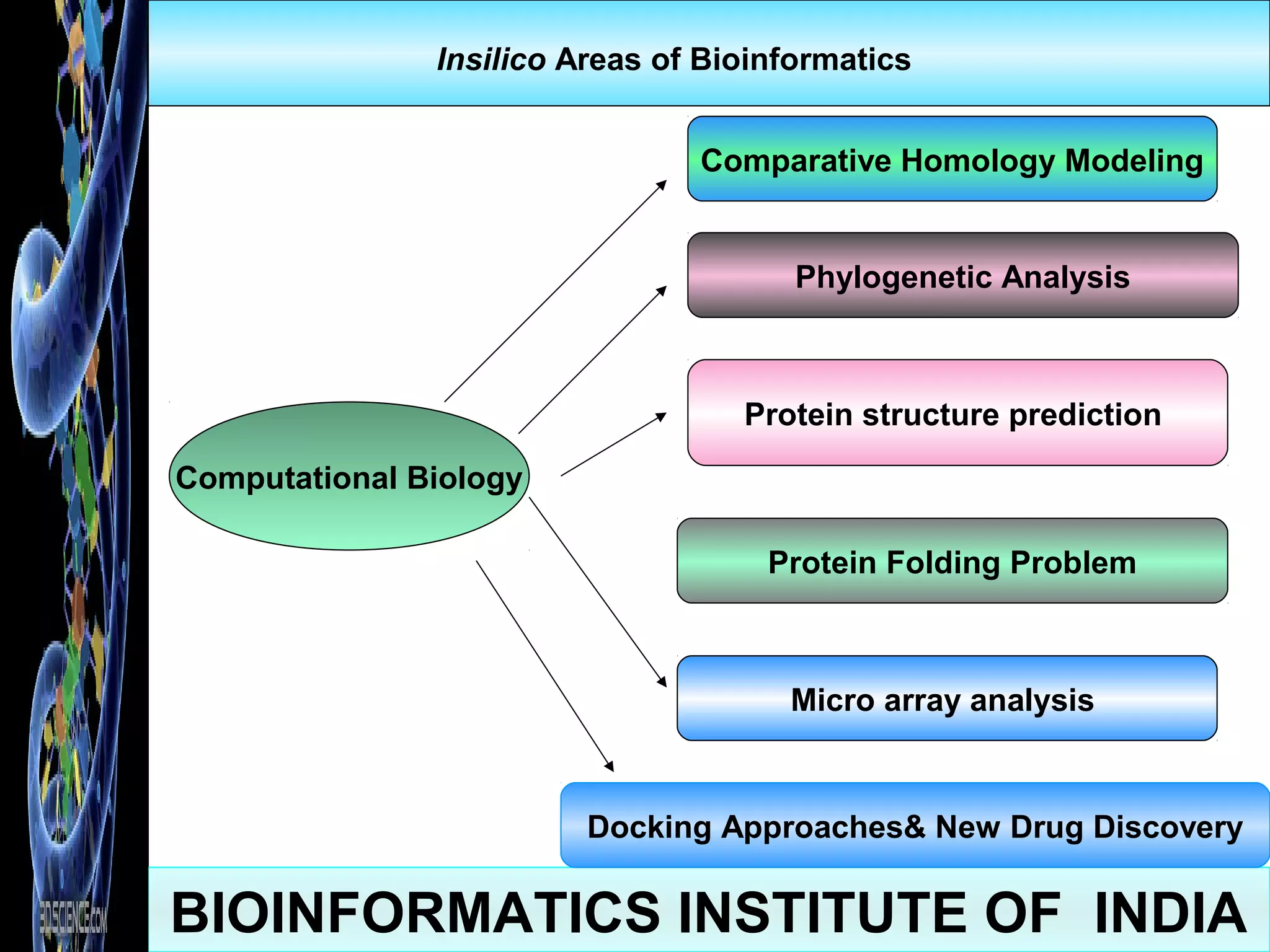 Bioinformatics | PPT