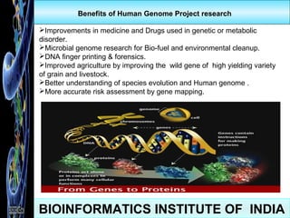 Bioinformatics | PPT