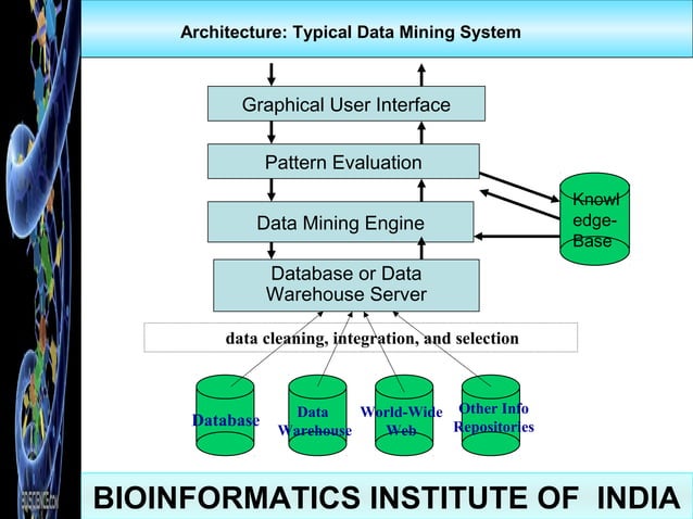 Bioinformatics | PPT | Biological Sciences | Science