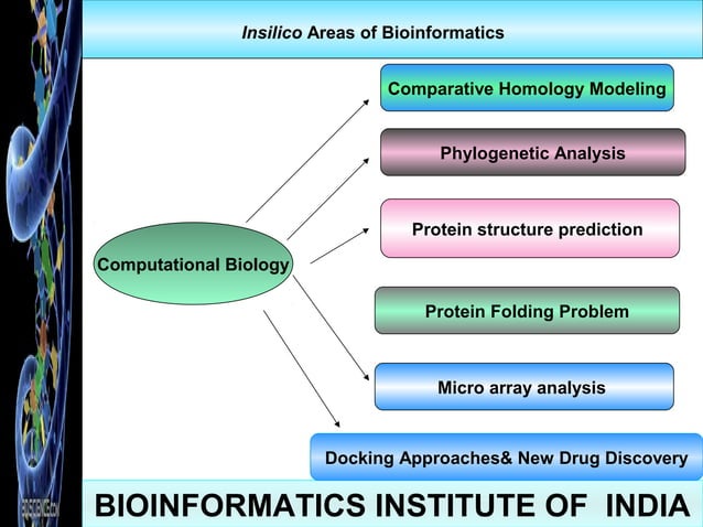 Bioinformatics | PPT | Biological Sciences | Science