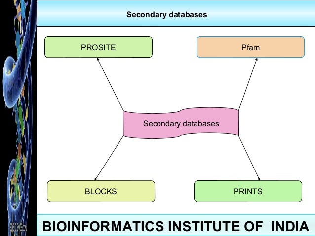 Bioinformatics