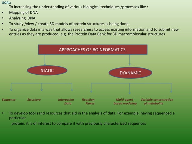 Bioinformatics | PPTX | Biotech and Biomedical Industry | Industries