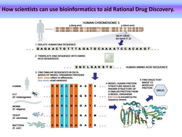 Bioinformatics | PPTX | Biotech and Biomedical Industry | Industries