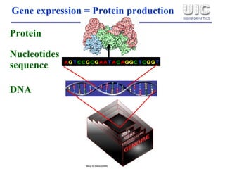 Bioinformatics | PPT