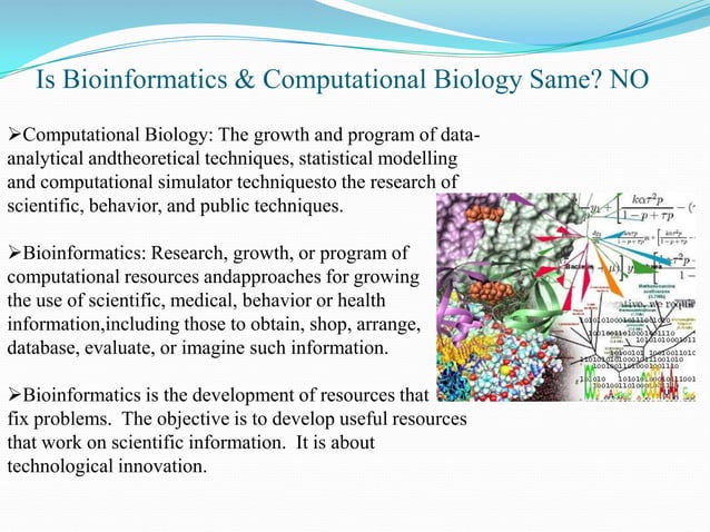 Bioinformatics | PPT