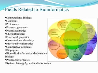 Bioinformatics | PPT
