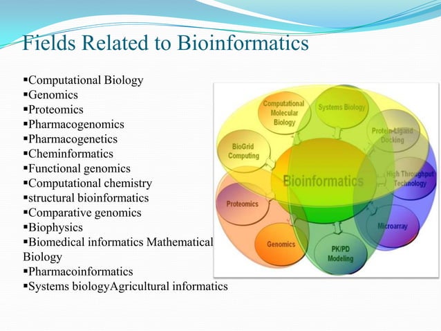 Bioinformatics | PPT