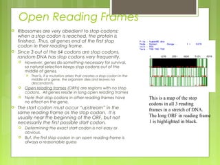 Bioinformatics | PPT